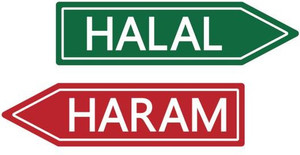 RLDigitalUnits HALAL HARAM sign board Emergency Sign Price in India ...