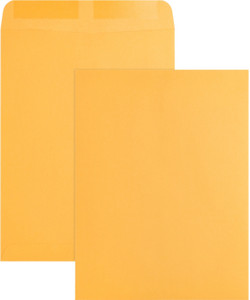 GrahLogy (10x14) inch Business/Office/Security/Money/Gift Courier ...