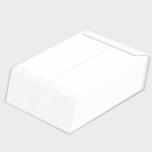 CHELNA White Envlp(12x10)_Pack 300 Envelopes Price in India - Buy ...