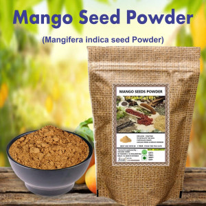 ORGANIC HERBS MANGO SEEDS POWDER , MANGO GUTHLI POWDER - Price in India ...