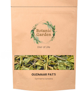 botanic garden Raw Gudmar Patti | Gymnema sylvestre | Meshashringi ...