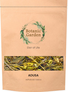 botanic garden Raw Adusa Herb | Justicia adhatoda | Vaasaka| Malabar ...