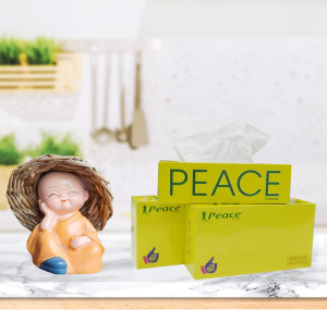 Peace Forever 2 Ply Virgin Facial Tissue Soft Pack - 100 Pulls l 200 ...
