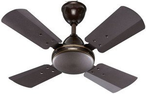 alqer Arise 24 Quick start High Torque Motor 100% Copper Winding Double ...