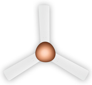 RR Signature New York Hudson 1200 mm 3 Blade Ceiling Fan Price in India ...