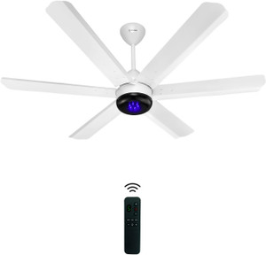 Candes Phantom with 3 Year Warranty BLDC Motor with Remote 1200 mm ...