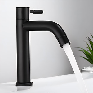 CARNIVAL Stainless Steel (SS-304) Black Pillar Cock Tap | Cold Water 8 ...