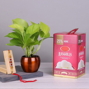 Vibrant Green Combo Of Stone Rakhi With Money Plant In Metal Pot & 1 kg ...