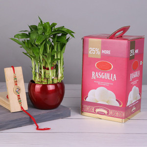 Vibrant Green Combo Of Peacock Rakhi With Two Layer Bamboo In Metal Pot ...