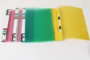 Flipkart.com | futureX SVS File Folder-10 Pcs Transparent File Folder ...