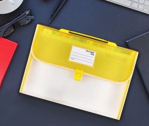 Flipkart.com | Dacto2pick premium Plastic 13-Pocket Expanding File ...