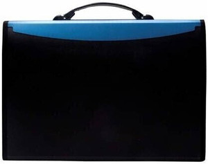 Flipkart.com | KATARIA PLASTIC 13 POCKET EXPANDING BAGS - EXPANDING BAGS