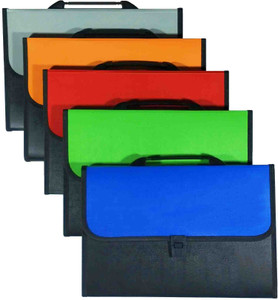 Flipkart.com | SHINING ZON PP 13 Pocket Expanding File Folder with ...