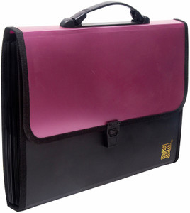 Flipkart.com | Skrill Plastic 13 Pockets Expanding File Folder for ...