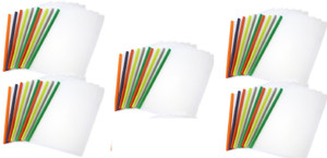 Flipkart.com | FOSTNEX Plastic File A4 Size Stick Transparent File ...