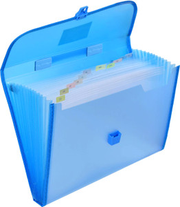 Flipkart.com | CLICKEDIN Plastic Expanding File Folder With 13 Pockets ...