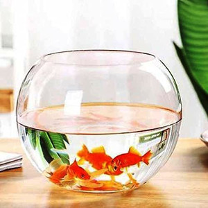 DESIGN4U 0.9 L Fish Bowl Price in India - Buy DESIGN4U 0.9 L Fish Bowl ...