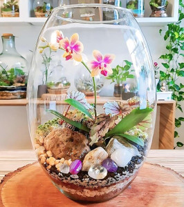 SEETASTIC 8 Inchi Dholak @d4 Round Ends Aquarium Tank Price in India ...