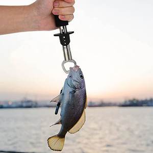 brown india fish lip gripper fish lip gripper Stainless Steel Fish ...