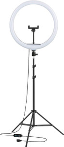 Osaka 14Inch LED Ring Light 25W Dimmable Lighting with 2 Color Modes ...