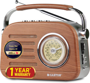 CASTOR 820BT FMRadio Bluetooth Speaker, USB MP3 Player, Rechargeable ...