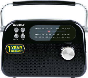 CASTOR FM820BT Portable Radio with FM & Bluetooth Speaker, USB MP3 ...