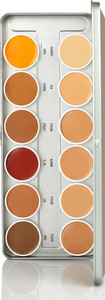Star's Cosmetics Color Palette 12 Shades Matte Finish Waterproof Face ...