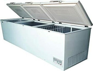 Elanpro 700 L Triple Door Standard Deep Freezer Price in India - Buy ...