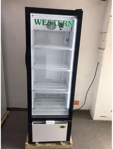 WESTERN 216 L Single Door Upright Freezer Price in India - Buy WESTERN ...