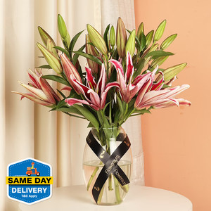 Floweraura Fresh Pink Lilies Bouquets, Flower Basket Price in India ...