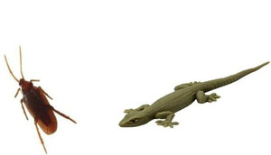 BBS DEAL Lizard and Fake Realistic Rubber Cockroach Novelty Prank Life ...