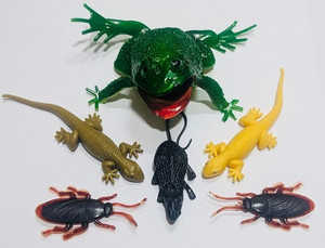 VEDY animal toys rubber frog rat cockroach lizard gang (set of 6) gang ...