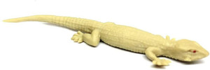 BLC 1Pcs Fake Plastic Lizard Toys Spoof Lizard Model Realistic Fake ...