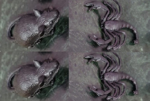 NEXAWAVE Realistic animal Scorpion and Rat for April Fool's Day and ...