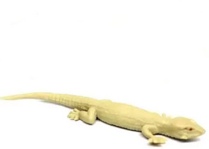 Childgossip 1 Pc Rubber Lizards Looks Real Prank|Scary Insects Toy For ...