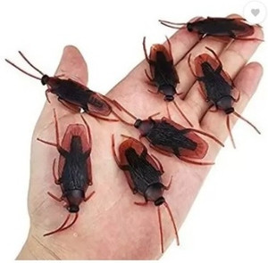 MADDYGROUP REALISTIC LOOKING SCARY COCKROACH TOY |RUBBER FAKE COCKROACH ...