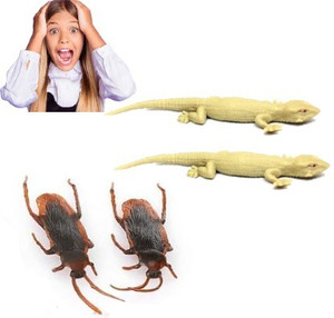 MADDYGROUP 2 Pc Rubber Lizards & 2 Pc Cockroach | Looks Real Toys ...