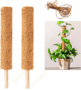 LIVEONCE 2 feet coco pole stick extendable premium with tie pack of 2 ...