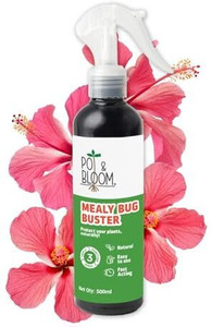 Pot and Bloom Mealy Bug Buster Spray Germs Killer for Plants No Harmful ...