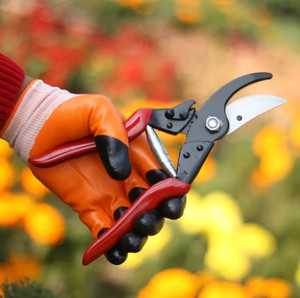 SHAHJI Heavy Duty Plant Cutter For Home , Scissor, Bypass Pruner ...