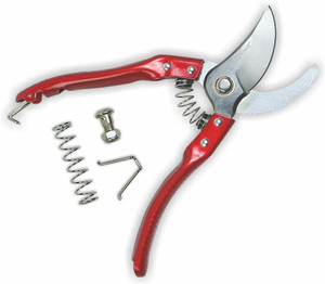 Shyam Sarowar Flower Cutter Plant Cutter Spring Scissors Cutting Plants ...