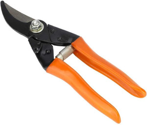 IBEX Plant Cutter for Home Garden (Major Cut) Garden Tool Kit Price in ...