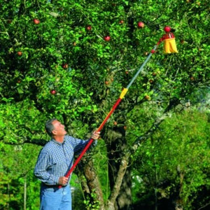 WOLF GARTEN Multi Star Fruit Basket/Picker with Handle RG-M + ZM -V4 ...
