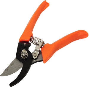 AGROMARK Garden Scissor Flower Cutter/Gardening Heavy Duty Tool/Flower ...