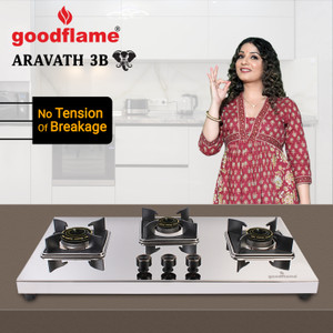 goodflame Aravath 3B Stainless steel stove 3 Dual Tone Imported(Silver ...