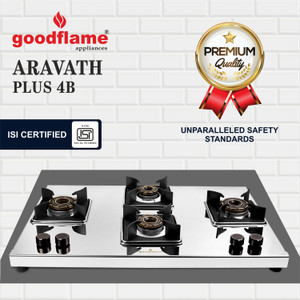 goodflame Aravath Plus 4B Stainless steel stove 4 Dual Tone Imported ...