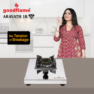 goodflame 1B Stainless steel stove 1 Dual Tone Imported(Silver ...