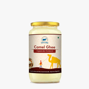 Go Fresho Desi Camel Ghee|Promotes Brain Health, Strong Immunity and ...