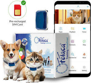 fetaca Smart Collars for Pet Safety: Dogs, Cats, and More With Tracking ...