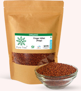 Pure Tree Certified Organic Ragi Whole Grain (Nachni, Nagli, Kodra ...